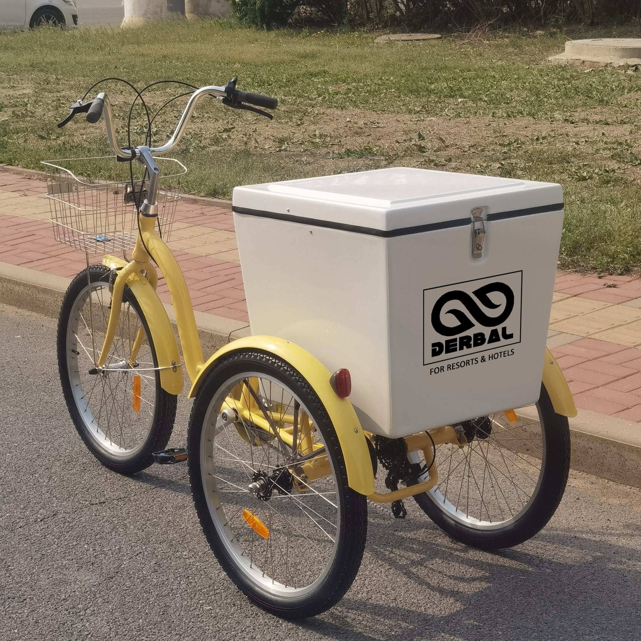26 Inch Housekeeping Tricycle-Aluminum Tricycle - DERBAL